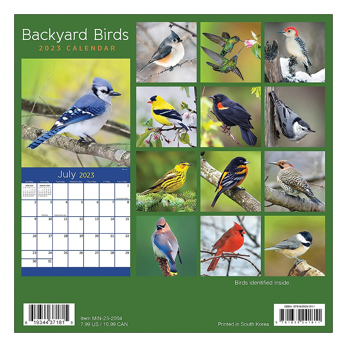 TF PUBLISHING Backyard Birds Mini Calendar 2023 | 2023 Wall Calendar 12 Month Large Grid 2023 Calendar Wall | Premium Wall Calendar 2023 Monthly | Planners + Calendars 2023 Office Calander 2023 7"x7"