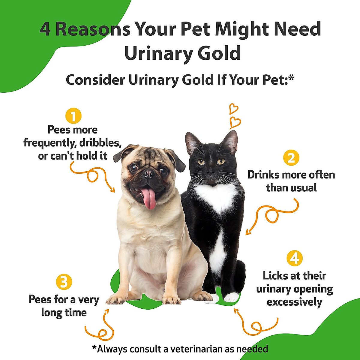 Pet Wellbeing Urinary Gold for Dogs & Cats - Vet-Formulated - Urinary Tract Health, Supports Normal Urinary pH - Natural Herbal Supplement 4 oz (118 ml)