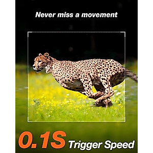 iZEEKER Trail Camera Solar, 4K 48MP Game Cameras with Night Vision Motion Activated IP66 Waterproof, 0.1s Trigger Time, High Capacity Built-in Lithium Battery for Wildlife Watching with 32GB SD Card