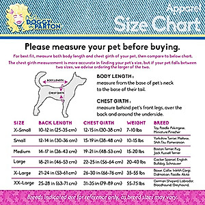 Doggy Parton White All Star Show Dolly Tee - XXL