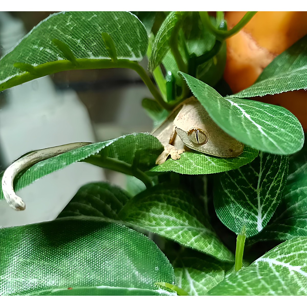 MRTIOO Reptile Artificial Plants, Terrarium Plants Decorations Supplies, Amphibian Habitat Hideout Tank Accessories, Rainforest Ground Plant (H)