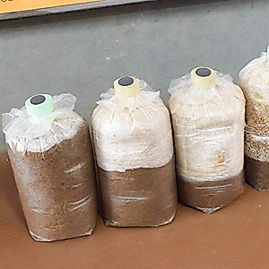 64 Pieces Synthetic Filter Paper Stickers 0.3 um Filter Disc Mushroom and 100 Pieces Vial Rubber Stopper Injection Ports for Mushroom Cultivation(7.6mm Diameter)