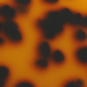 SSMY Women Amber Evening Clutch Acrylic Purse Perspex Handbag For Wedding Party, Brown, One Size