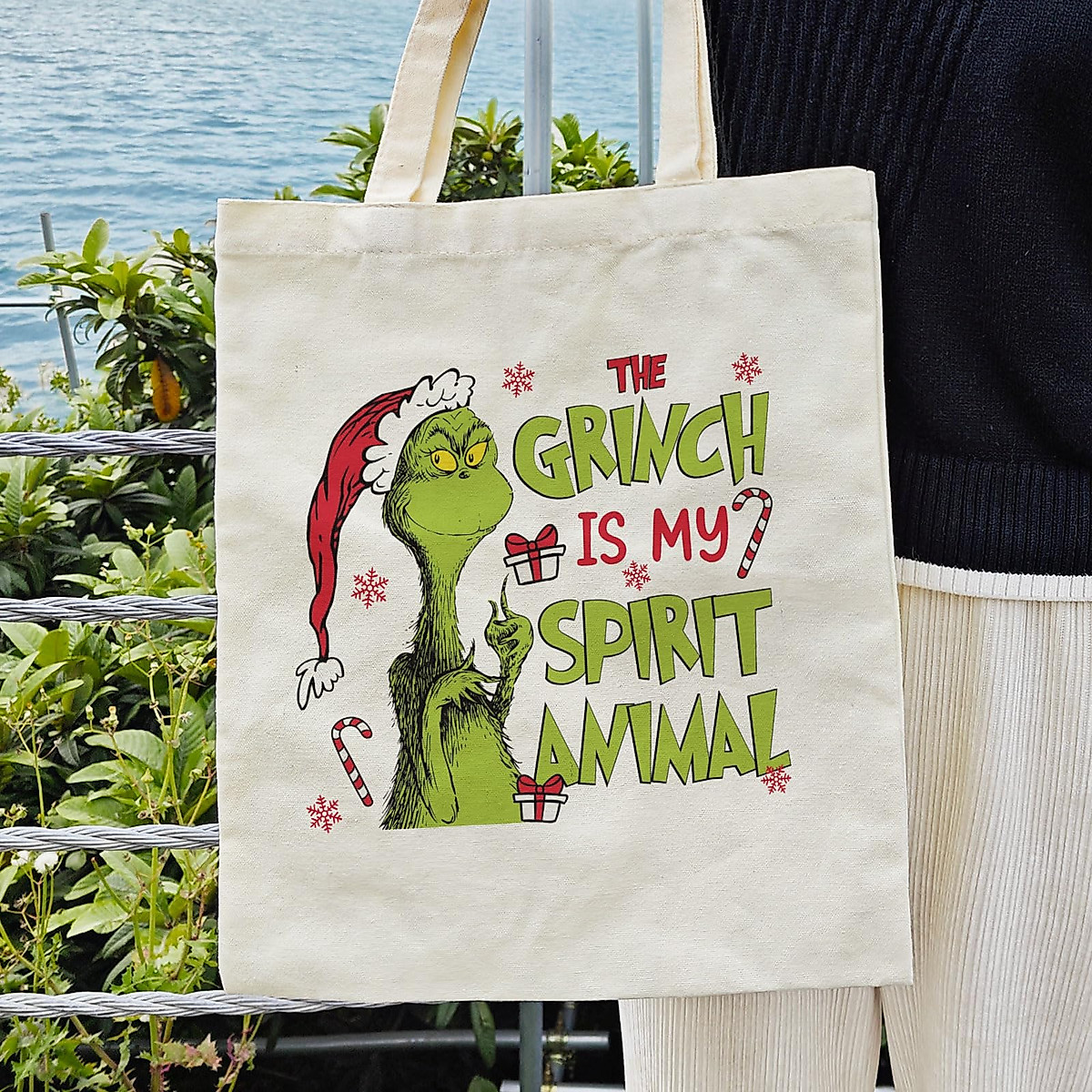 Dlzdn Christmas Canvas Tote Bag For Women Aesthetic Monster Is My Spirit Animal Tote Bag Shopping Grocery Bag Beach Bag Gifts for Women Teacher Bag Reusable Grocery Bag