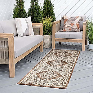 Water & Fade Resistant Indoor Outdoor 3x10 Runnerr Rug for Patio, Deck, Porch, Entryway | Outside Area Rugs for Patios | 2'8'' x 9'10'' Brown