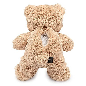 Inventiv Teddy Bear with Pouch, Easily Insert a Recordable Sound Module (Sold Separately), Plush Toy Stuffed Animal (Teddy Bear w/Pouch)