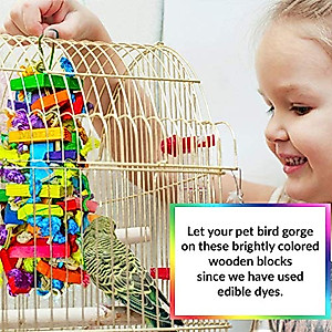 Meric Block Toy for House Birds, Nibbling Keeps Beaks Trimmed, Preening Keeps Feathers Groomed, Edible, Food-Grade Multicolored Wooden Blocks, 1-pc