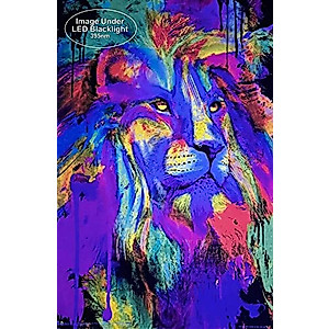 Rainbow King by Aimee Stewart - Non-Flocked Blacklight Poster 24" x 36"