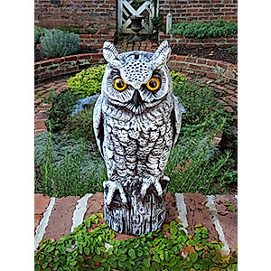 Dalen Fake Owl Decoy to Scare Birds Away from Gardens, Rooftops, and Patios - Scarecrow Provides Chemical-Free Pest Control - Safe and Humane, 16" Great Horned Owl - Snow White