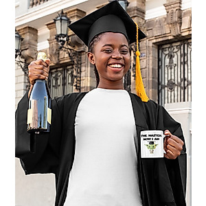 Suchmugs Masters Degree Graduation Gifts, Masters Graduation Gifts For Him, Masters Mug, College Graduation Gifts For Him, The Master Now I Am, MBA Mug, Masters Degree Graduation Gifts For Her