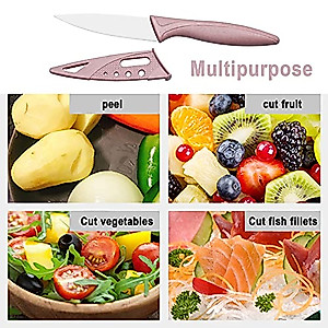 Kocpudu Fruit Knife Small, 3 Sharp and Durable Fruit Knife, Exquisite and Beautiful, with Scabbard, Paring Knife is Suitable for Most Vegetables, Fruits and Meat (pink, Blue, Green)