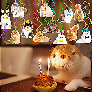 20Pcs Persian Cat Hanging Swirls Cat Themed Birthday Party Decorations Kitten Birthday Foil Ceiling Swirls Persian Cat Party Streamers for Pet Cat Baby Shower Supplies