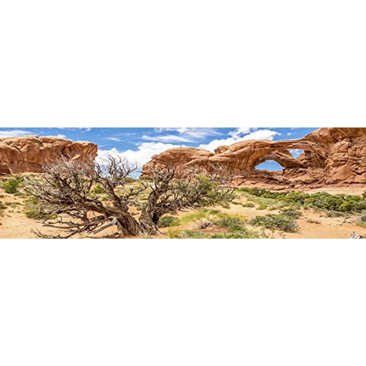 Reptile Habitat Background; Double Arch with Tree, for 36Lx18Wx24H Terrarium, 3-Sided Wraparound