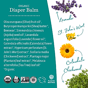 Earth Mama Nipple Butter™ & Diaper Balm | Nipple Cream & Organic Skincare for Baby | Breastfeeding & Postpartum Essentials Bundle