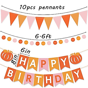 Thanksgiving Birthday Party Decorations Pink and Orange Groovy Party Decorations Pumpkin Happy Birthday Banner Fall Autumn Thanksgiving Harvest Birthday Decorations for Fireplace Mantle Home