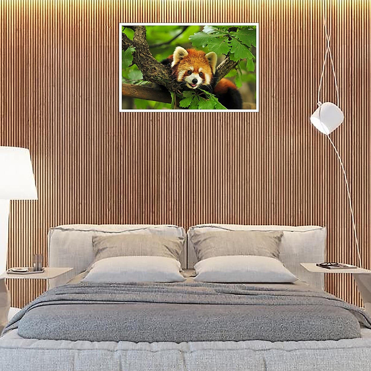 Ymqewq Red Panda Prints Wall Art Animal Canvas Pictures Photography Poster Print Kids Room Decor Unframed13 x8