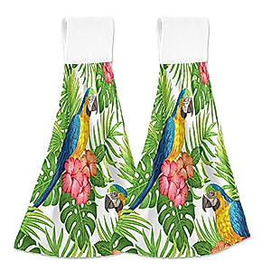 DJYQBFA Floral Bird Macaw Parrot Kitchen Towels Absorbent Hanging Kitchen Towels with Loop Set 2 Pcs Hanging Kitchen Towels for Bathroom Laundry Room Decor