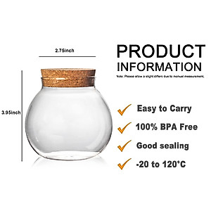 Aurfedes Set of 2 round glass jars with cork lid – 17oz wedding candy jar kitchen Storage jar, perfect for tea, biscuits, cereals, flour, beans, spices, coffee beans etc (2PCS)