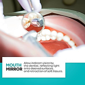 HOKIN Dental Mirror Number 5 Stainless Steel Professional Dentist Mirror with Two Removable Mirror Heads