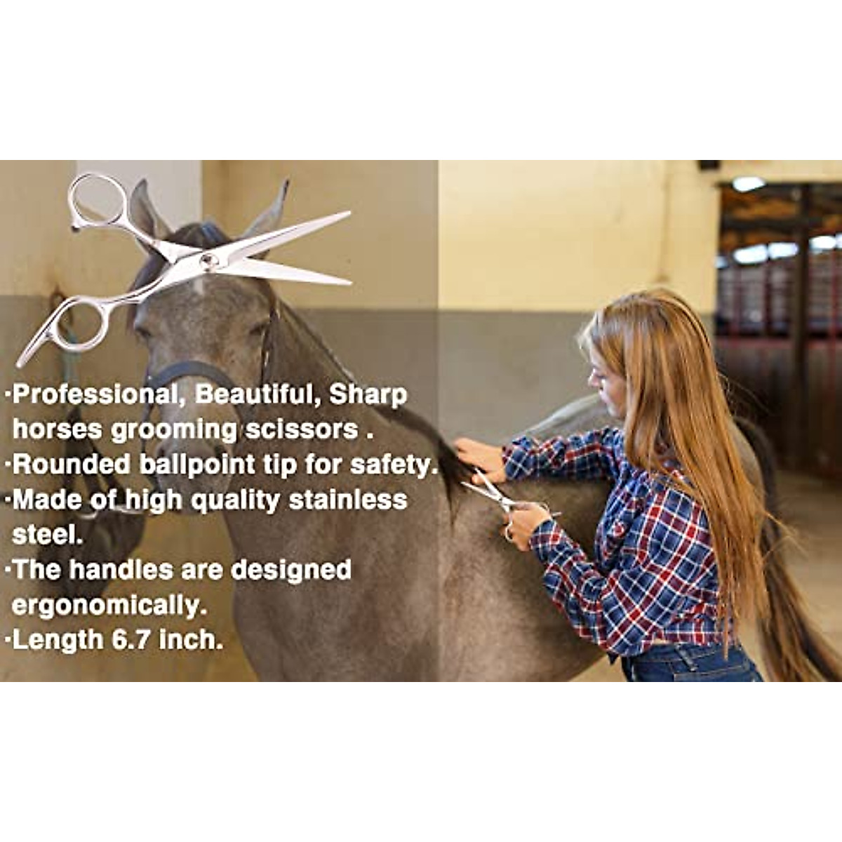 Horse Grooming Kit （10-Piece） with Tote，Horse Cleaning Tool Set with Assorted Hair and Curry Comb, Hoof Pick Sweat Scraper，Grooming Scissors，Portable Black Storage Bag，Riding Equipment for Beginners