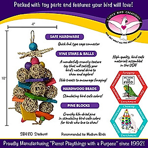 Super Bird Creations SB480 Starburst Bird Toy, Medium Bird Size, 10" x 4"