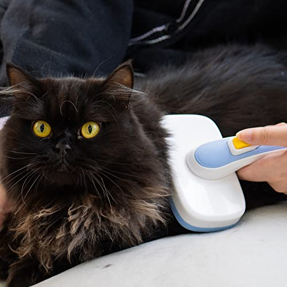 AIITLE Self-Cleaning Slicker Brush for Dogs, Cats - Shedding and Grooming Tool for Pets - Remove Loose Hair, Fur, Tangled Hair, Knots for Large Medium Small Sensitive Dogs, Cats, Rabbit & More Blue