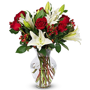 BENCHMARK BOUQUETS - Red Elegance (Glass Vase Included), Next-Day Delivery, Gift Fresh Flowers for Birthday, Anniversary, Get Well, Sympathy, Graduation, Congratulations, Thank You