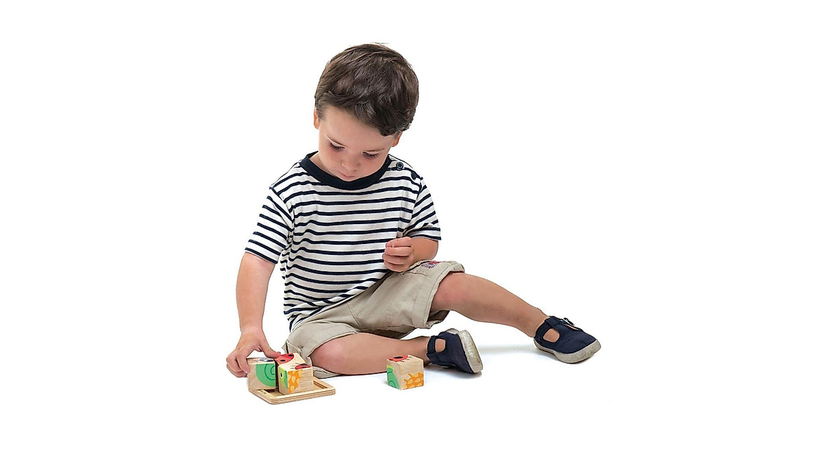 Tender Leaf Baby Blocks - First Wooden Jigsaw Puzzle