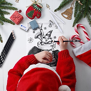 PANDAFLY Drawing Sketching Pencil Set, 22 Piece Pro Art Pencil Kit - Graphite Pencils (12B-2H), Black and White Charcoal Pencils, Charcoal Sticks, Stumps, Eraser, Sharpeners