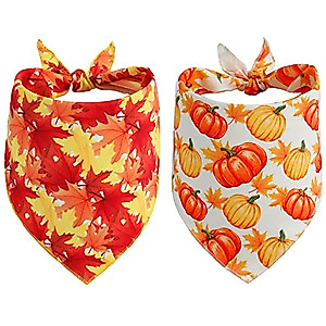 Fall Dog Bandana, Festival Pets Scarf for Thanksgiving Daily Use in Autumn