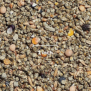 Hen Up Organic | Layer Pellet - Non-GMO Chicken Food | 25 Pound (25 lb.) Bag