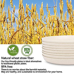 Homestockplus 9 Inch Dinner Plates,BPA-Free Wheat Straw Plates,Off White Plate Set Dishwasher and Microwave Safe Plates - Set of 8 【Non Ceramic】