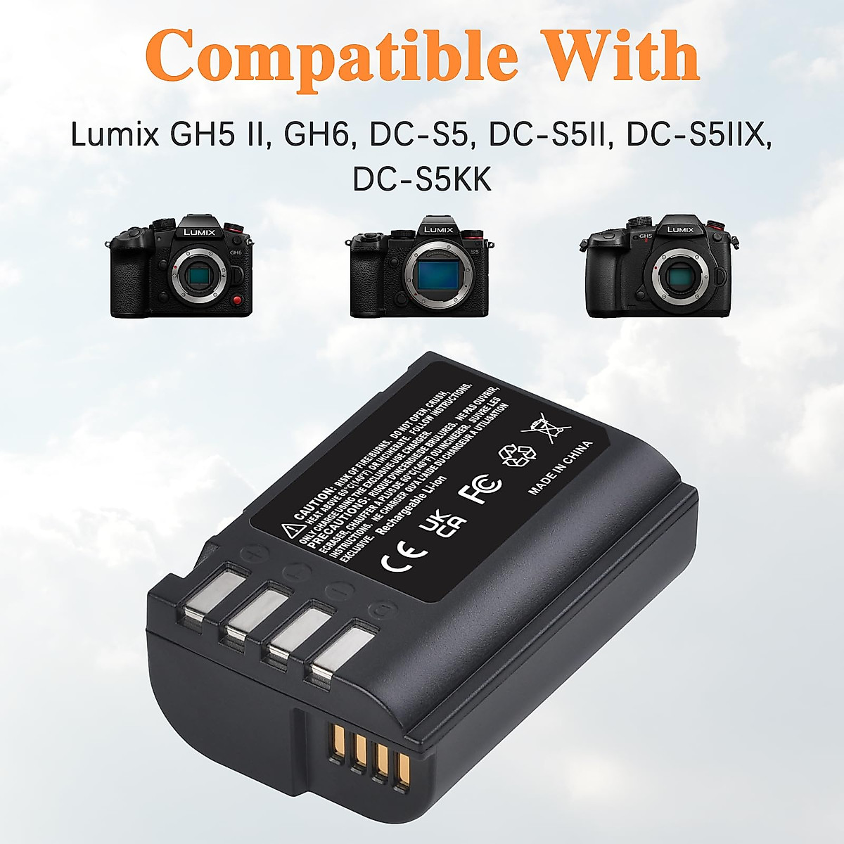 Pickle Power DMW-BLK22 Battery (2-Pack) for Panasonic Lumix DC-S5, DC-S5 II, DC-S5 IIX, GH5 II, GH6, S5II, S5IIX, S5M2, S5M2X, GH5M2, with Battery Storage Case