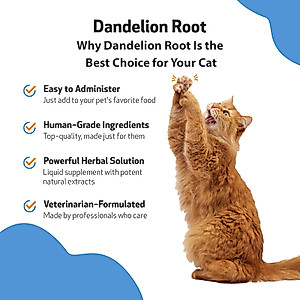 Pet Wellbeing Dandelion Root for Cats - Liver & Heart Health, Digestive Function, Blood Sugar Support, Certified Organic - Veterinarian-Formulated Herbal Supplement 2 oz (59 ml)