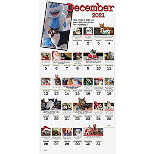 Bad Cat Wall Calendar 2021