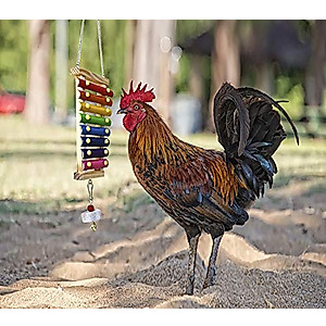 Vehomy Chicken Xylophone Toy for Hens Suspensible Wood Xylophone Toy with 8 Metal Keys Chicken Coop Pecking Toy with Grinding Stone (Rainbow Color)