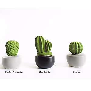 Auxo Gardens Cactus Ceramic Essential Oil Diffuser for Aromatherapy, for Birthday, housing Warming, Holidays, Cute Decoration for Desk and Rooms (Blue Candle)