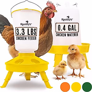 Roosty's - Top Fill Chicken Feeder and Waterer - 1.5KG/1.5L | Hanging, Small, Duck & Quail Feeder & Waterer | Chicken Supplies