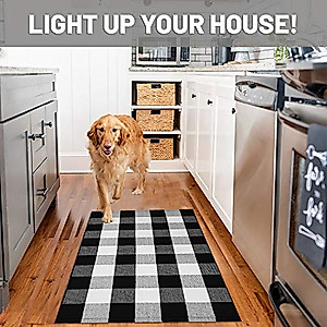IOHOUZE Buffalo Plaid Checkered Rug - 27.5" X 43" Door Mat for Front Porch Decor/Home Decor, Black and White Washable Entryway Rug Welcome Outdoor Mat/Spring/Summer Doormat/Christmas Decoration