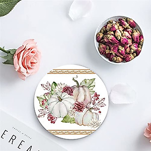 QUANJJ Autumn Flower Leaves Farmhouse Coasters Ceramic Set Round Absorbent Drink Coaster Coffee Tea Cup Placemats Table Mat (Color : D, Size : 4pcs)