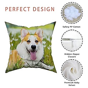 DEABOLAR Custom Photo Pillow, Personalized Pillow with Pet Portrait Family Memorial Love Picture Customizable DIY Gifts(16" x 16")