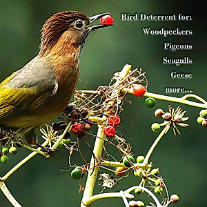 Holographic Reflective Bird Scare Discs for Woodpeckers and Pigeons, Bird Reflectors Scarer, Keep Birds Away, 24 Diamond-Shape Disks