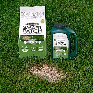 Pennington Smart Patch Tall Fescue Mix Jug 5 lb