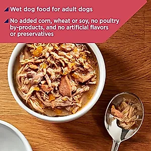 Nature's Recipe Wet Dog Food, Chicken & Wild Salmon in Broth Recipe, 2.75 Ounce Cup (Pack of 12)