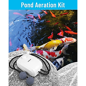 FUMAK Pond Aeration Kit – Koi Pond Aerator Pond Air Pump Kit for Pond up to 2000 Gallons Pond Deicer All-in-One Pond Aeration System with Double Outlets Check Valves Airline Tubing Air Stones