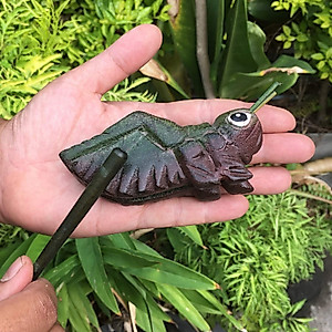 Cozinest Wooden Percussion Frog, Cricket and Owl Set 3 Musical Instrument Products From Thailand Home Office Decoration Nice Gift (Small)