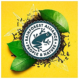 Lipton Tea Bags, 100 Count