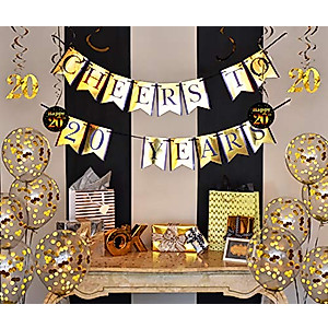 20th Birthday and Anniversary Decorations Party Pack - Cheers to 20 Years Banner, Balloons, Swirls and Confetti Party Supplies