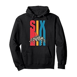 6th Birthday Party Supply Retro Vintage Pet Jumping Spider Pullover Hoodie