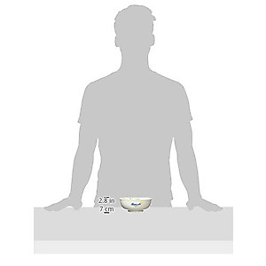 金正陶器(Kaneshotouki) Pokémon 142325 Ramen Bowl, Made in Japan